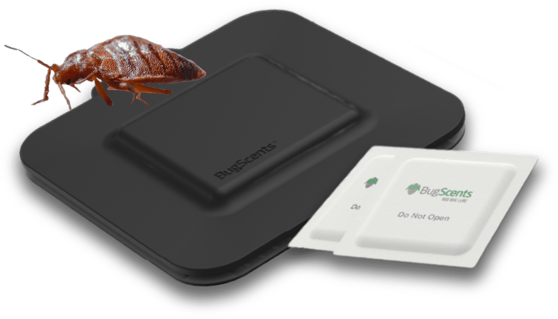 Trabajando Juntos para Lograr un Ambiente más Sano - Killgerm S.A.