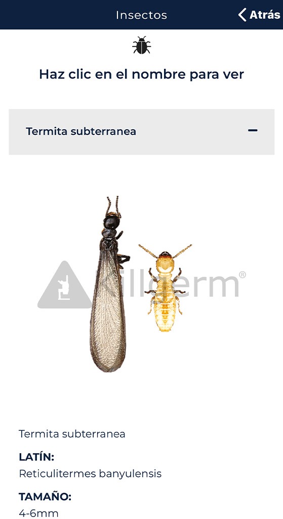 ¡Las Apps de Killgerm® ya están aquí! - Killgerm S.A.